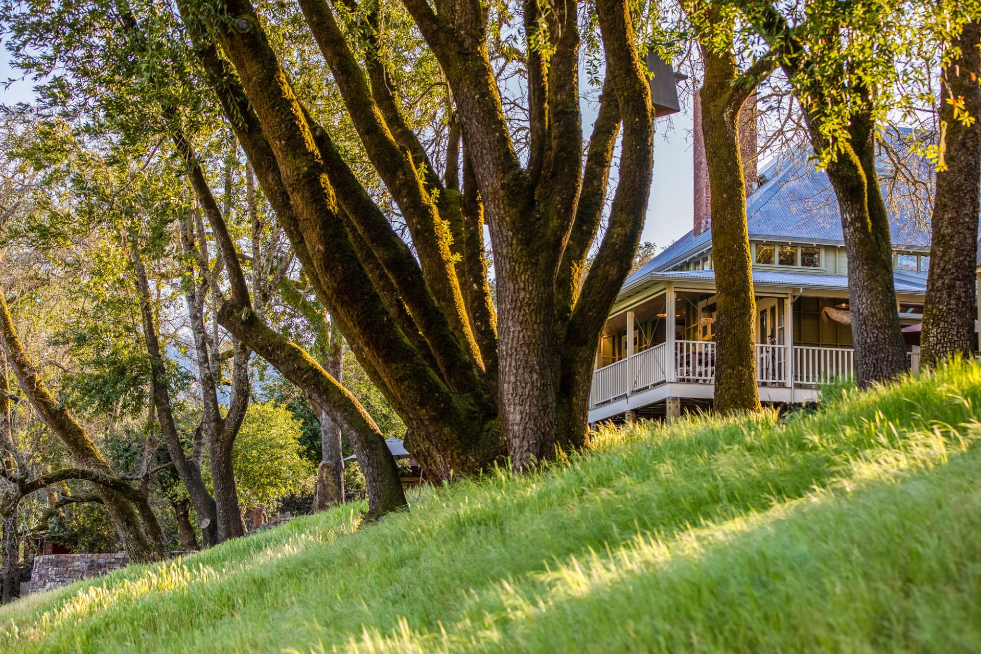 Joseph Schell Photography